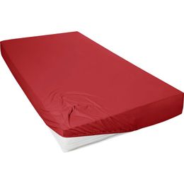 Primera Spannbettlaken &raquo;Mako-Feinjersey Spannbetttuch&laquo; Geeignet f&uuml;r Standardmatratzen bis 22 cm, 100% Baumwolle rot Mako-Jersey, Obermaterial: 100% Baumwolle 