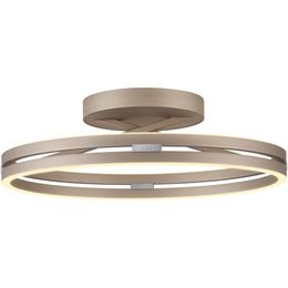 Neuhaus PURE LED Deckenleuchte &raquo;PURE Loop&laquo; LED-Board 1 Stk. warmwei&szlig; - kaltwei&szlig; Dimmbar &uuml;ber Fernbedienung, CCT, separat steuerbar beige 1, &Oslash; 60cm H: 
