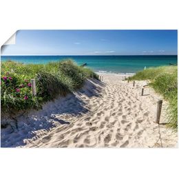 Artland Wandbild &raquo;Weg zum Strand an der Ostsee&laquo; Strandbilder 1 Stk. tlg. als Alubild, Leinwandbild, Poster in verschied. Gr&ouml;&szlig;en blau B/H/T: 90cm x 60cm, 