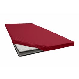 Janine Spannbettlaken &raquo;TOPPER 5001&laquo; mit Rundumgummizug rot Jersey-Elasthan, Obermaterial: 95% Baumwolle, 5% Elasthan 1 Stk., Jersey-Elasthan, 180x200 180x210
