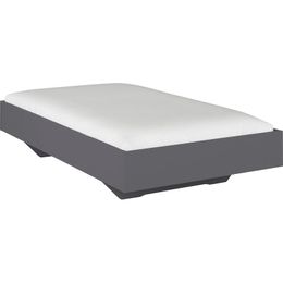 Rauch Futonbett &raquo;Phoenix&laquo; ohne Kopfteil grau Liegefl&auml;che L&auml;nge B: 200cm x 120cm, H&ouml;he Bett: 41cm, ohne Matratze