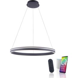 Neuhaus Q SMART HOME LIGHTS LED Pendelleuchte &raquo;Q-VITO&laquo; LED-Board 1 Stk. warmwei&szlig; - kaltwei&szlig; 1, &Oslash; 79,4cm, 1 Stk.