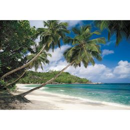 Komar Fototapete &raquo;Tropical Sea - Gr&ouml;&szlig;e 368 x 254 cm&laquo; bedruckt glatt Wohnzimmer, Schlafzimmer bunt Papier B/L: 3,68m x 2,54m, Rollen: 1