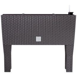 Prosperplast Pflanzk&uuml;bel &raquo;Rato case high&laquo; BxTxH: 80x33x62 cm braun Kunststoff B/H/T: 80cm x 62cm x 33cm