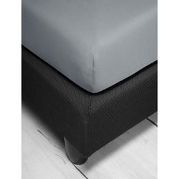 Irisette Spannbettlaken &raquo;Jupiter 8&laquo; aus Baumwolle, f&uuml;r Matratzen bis 25 cm H&ouml;he, Bettlaken, Spannbetttuch silber Mako-Jersey, Obermaterial: 100% Baumwolle B/L: