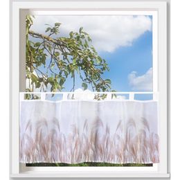 Weckbrodt-Gardinen Scheibengardine &raquo;Pampasgras&laquo; Schlaufen 1 Stk. tlg. Bistro, Voile, bedruckt, floral, HxB 45x120cm, Gardine, Store bunt Voile, Polyester 45cm, Schlaufen