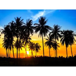 papermoon Fototapete &raquo;Coconut Palm Trees&laquo; glatt bunt Vlies B/L: 3,5m x 2,6m, Bahnen: 7 Stk.