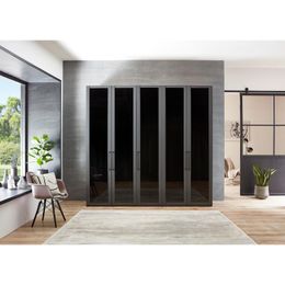 Wiemann Dreht&uuml;renschrank &raquo;Split&laquo; inkl. T&uuml;rend&auml;mpfung grau Floatglas, Holzwerkstoff Graphit-Dekor, B/H/T: 246,3cm x 236cm x 58cm, T&uuml;ren: 5 Stk.