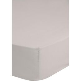HIP Spannbettlaken &raquo; in Gr. 90x200, 140x200 oder 180x200 cm&laquo; 100% Baumwolle, Mako-Satin, Rundumgummi, bis 25 cm H&ouml;he beige Satin, Obermaterial: 100% 