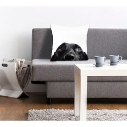 queence Dekokissen &raquo;Labby&laquo; mit einem neugierigen Labrador schwarz Polyester B/L: 40cm x 40cm, 1 Stk.