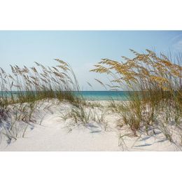 papermoon Fototapete &raquo;Ocean Beach Dunes&laquo; bunt Vlies B/L: 4,5m x 2,8m, Bahnen: 9 Stk.