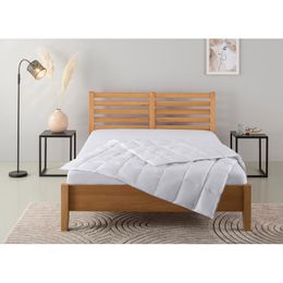 OTTO home Daunenbettdecke &raquo;Moulle, Bettdecke 135x200 cm und 155x220 cm&laquo; leicht F&uuml;llung 90% Daunen & 10% Federn 1 Stk. tlg. Bettdecken, Sommer oder 
