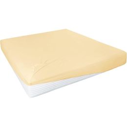 Primera Spannbettlaken &raquo;Elasthan-Feinjersey&laquo; PREMIUM, aus 95% gek&auml;mmter Baumwolle und 5% Elasthan, bis 28 cm H&ouml;he orange Jersey-Elasthan, Obermaterial: 95% 