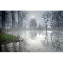 papermoon Fototapete &raquo;Geheimnisvoller Wald&laquo; bunt Vlies B/L: 3m x 2,23m, Bahnen: 6 Stk.