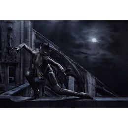 papermoon Fototapete &raquo;CAT WOMAN-SUPERHELDIN II&laquo; bunt Vlies B/L: 5m x 2,8m, Bahnen: 10 Stk.
