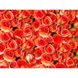 papermoon Fototapete &raquo;Orange Roses&laquo; glatt bunt Vlies B/L: 2m x 1,49m, Bahnen: 4 Stk.