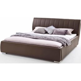 Meise M&ouml;bel meise.m&ouml;bel Polsterbett &raquo;Luna&laquo; mit Lattenrost und Bettkasten braun Bezug Bett: Kunstleder Liegefl&auml;che L&auml;nge B: 200cm x 200cm, Kunstleder, H&ouml;he 