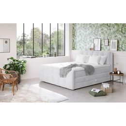 COTTA Boxspringbett &raquo;Fort mit Bettkasten, inkl. Topper&laquo; erh&auml;ltlich in verschiedenen Breiten (160cm, 180cm & 200cm) grau 100% POLYESTER (PES) 