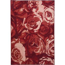 Theko Teppich &raquo;Flomi Rose&laquo; rechteckig 4 mm H&ouml;he Flachgewebe, ideal im Wohnzimmer & Schlafzimmer rot Kunstfaser B : 200cm 1 Stk., 4mm, L: 290cm
