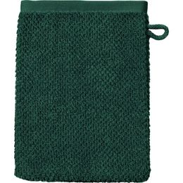 Ross Waschhandschuh &raquo;SELECTION&laquo; 100 % Bio-Baumwolle gr&uuml;n Frottier B/L: 16cmx21cm, 6 Stk.
