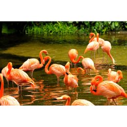 papermoon Fototapete &raquo;Pink Flamingos&laquo; glatt bunt Vlies B/L: 2,5m x 1,86m, Bahnen: 5 Stk.