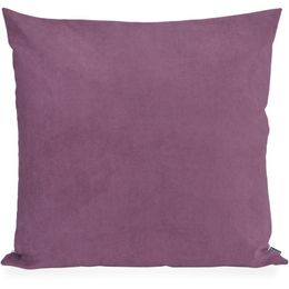 HOCK Dekokissen &raquo;Versatil&laquo; Sofakissen inkl. F&uuml;llung, 50x30cm, einfarbig, pink, Samt, Dekokissen lila Baumwolle, Polyester B/L: 70cm x 70cm, 1 Stk.