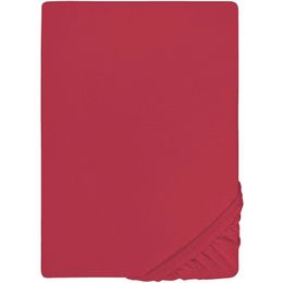 Biberna Spannbettlaken &raquo;THEA Baumwoll-Jersey mit Elasthan, 160 g/m&sup2;&laquo; Bettlaken f&uuml;r Matratzen bis 25 cm H&ouml;he, pflegeleicht, b&uuml;gelfrei rot Jersey-Elasthan, 