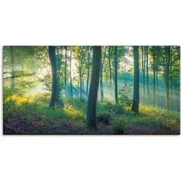 Artland Leinwandbild &raquo;Wald Panorama&laquo; Waldbilder 1 Stk. tlg. auf Holzrahmen gespannt gr&uuml;n B/H/T: 100cm x 50cm, Leinwandbild Waldbilder Querformat, 1 Stk.