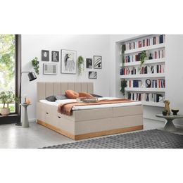 Home Affaire Boxbett &raquo;FRAPELLE, Polsterbett mit Bettkasten und Taschenfederkernmatratze H3&laquo; mit Topper, Strukturstoff-Bezug, Sockel eichefarbig, 