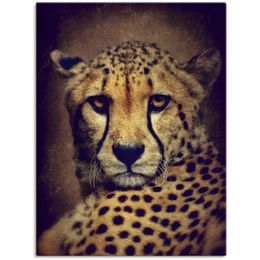 Artland Leinwandbild &raquo;Gepard&laquo; Wildtiere 1 Stk. tlg. auf Holzrahmen gespannt braun Leinwand B/H/T: 30cm x 40cm, Leinwandbild Wildtiere Hochformat, 1 Stk.