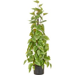 Creativ green Kunstbaum &raquo;Philodendron scandens&laquo; in Pyramidenform gr&uuml;n Obermaterial: 100% Kunststoff B/H/L: 95cm, 1 Stk.