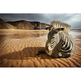 papermoon Fototapete &raquo;Strandzebra&laquo; bunt Vlies B/L: 3m x 2,2m, Rollen: 1