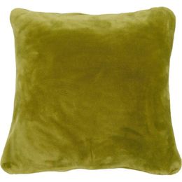 G&ouml;zze Dekokissen &raquo;Premium Cashmere-Feeling Kissen&laquo; 50x50cm,passend zur Premium Cashmere-Feeling Decke,Kissenh&uuml;lle&F&uuml;llung gr&uuml;n Polyester B/L: 50cm x 50cm, 1
