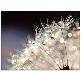 Artland Glasbild &raquo;Pusteblume Fantasie&laquo; Blumen 1 Stk. tlg. in verschiedenen Gr&ouml;&szlig;en bunt B/H/T: 80cm x 60cm, Glasbild Blumen Querformat, 1 Stk.