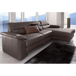 Sit & More sit&more Ecksofa &raquo;Ascara L-Form&laquo; inklusive Boxspring/Federkern-Polsterung, wahlweise mit Schlaffunktion braun NaturLEDER (echtes Rindsleder), Korpus 