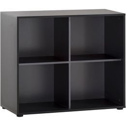 Welltime Regalelement &raquo;Hank, Regalelement, Made in Germany, B: 50 cm&laquo; Solide Verarbeitung - Dieses Produkt ist in Deutschland gefertigt schwarz 