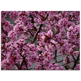 Artland Glasbild &raquo;Japanische Zierkirschen Bl&uuml;te&laquo; B&auml;ume 1 Stk. tlg. in verschiedenen Gr&ouml;&szlig;en pink B/H/T: 60cm x 45cm, Glasbild B&auml;ume Querformat, 1 Stk.