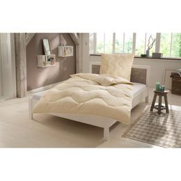 OTTO home Naturfaserbettdecke &raquo;Baumwolle 60 &deg;C, Bettdecke 135x200 cm, 155x220 cm, 200x200 cm&laquo; normal F&uuml;llung 100% Baumwolle 1 Stk. tlg. Bettdecken, 