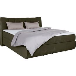 Home Affaire Boxspringbett &raquo;Oc&eacute;ane&laquo; Bodenfrei- wirkt freischwebend, verschiedene H&auml;rtegrade (auch H4) gr&uuml;n Polyester Velour VELVET Polyester Topper 