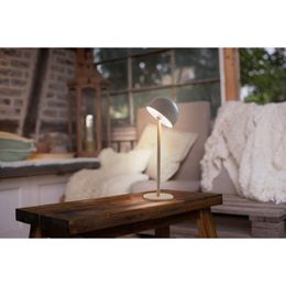 OTTO home Tischleuchte &raquo;Akku Tischlampe GERRIN Indoor Outdoor, magnetischer Flaschenaufsatz&laquo; LED-Board Warmwei&szlig; Pilzlampe Flaschenaufsatz, Regulierung