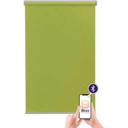 SUNLINES Elektrisches Rollo &raquo;Las Vegas&laquo; verdunkelnd Verdunkelung mit Bohren freih&auml;ngend appgesteuert via Bluetooth, mit Motor und Akku, silberner 