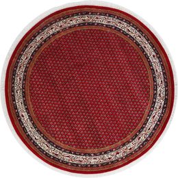 Theko Orientteppich &raquo;Chandi Mir&laquo; rund 12 mm H&ouml;he reine Wolle handgekn&uuml;pft, mit Fransen rot Schurwolle &Oslash; 100cm 1 Stk., 12mm, &Oslash; 100cm