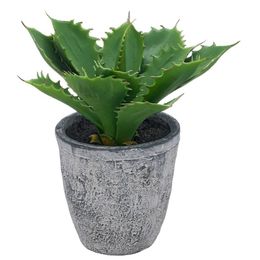 Creativ green Kunstpflanze &raquo;Echeveria&laquo; mit naturgetreuem Blattwerk Kunststoff B/H/L: 25cm, 1 Stk.