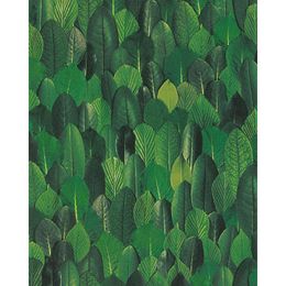 marburg Vliestapete botanisch Blattoptik, moderne Tapete f&uuml;r Wohnzimmer Schlafzimmer K&uuml;che gr&uuml;n Vlies B/L: 0,53m x 10,05m