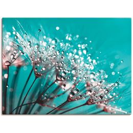 Artland Leinwandbild &raquo;Glitzernde Pusteblume I&laquo; Blumen 1 Stk. tlg. auf Holzrahmen gespannt blau Leinwand B/H/T: 40cm x 30cm, Leinwandbild Blumen Querformat, 1 
