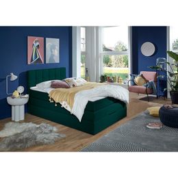 Home Affaire Boxspringbett &raquo;Fornoli&laquo; inkl. Topper und Bettkasten, H3 in zwei Matratzenarten blau Flachgewebe, Liegefl&auml;che B/L: 120cm x 200cm, Gewicht 