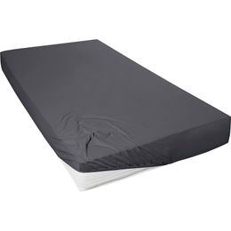 Primera Spannbettlaken &raquo;Mako-Feinjersey Spannbetttuch&laquo; Geeignet f&uuml;r Standardmatratzen bis 22 cm, 100% Baumwolle grau Mako-Jersey, Obermaterial: 100% Baumwolle