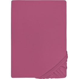 Biberna Spannbettlaken &raquo;Marc&laquo; aus Baumwolle, f&uuml;r Matratzen bis 22 cm H&ouml;he, Bettlaken, Spannbetttuch lila Jersey, Obermaterial: 100% Baumwolle B/L: 200cm, 1 