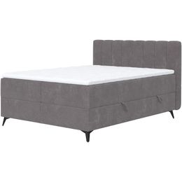 COTTA Boxbett &raquo;Vicky inkl. Bettkasten&laquo; erh&auml;ltlich in den Breiten 160x200cm & 180x200cm grau 92% POLYESTER (PES);8% POLYAMID (PA) Struktur weich inkl. 