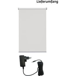 SUNLINES Elektrisches Rollo &raquo;Miami&laquo; Lichtschutz Sichtschutz mit Bohren freih&auml;ngend appgesteuert via Bluetooth, mit Motor & Akku, silberfarbener 
